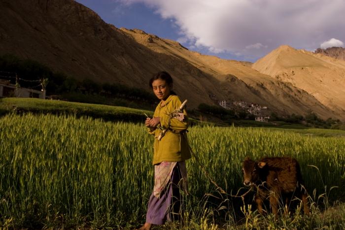 Lamayuru to Chilling | Independent Trekking and Travel - A Guide to ...